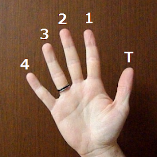 Teku Contact Lab: Finger Stalls Part 1 - Notation