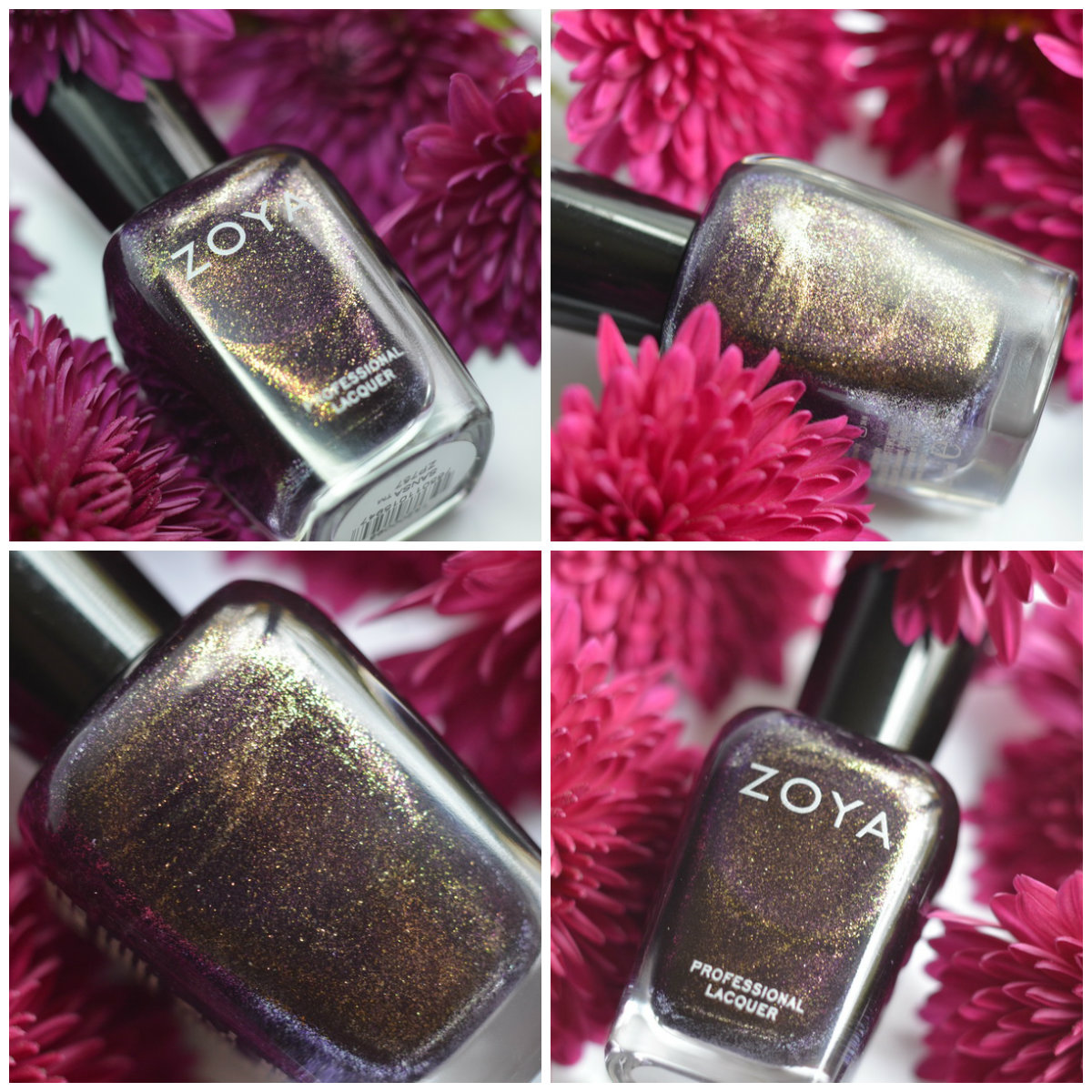 Rysichka: Zoya Sansa