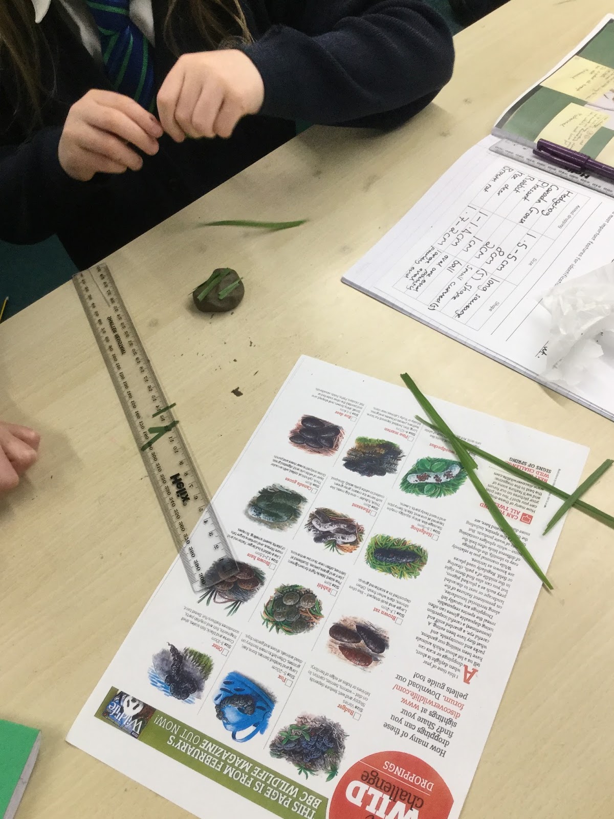 Windhill21: Identification and classification...of animal droppings