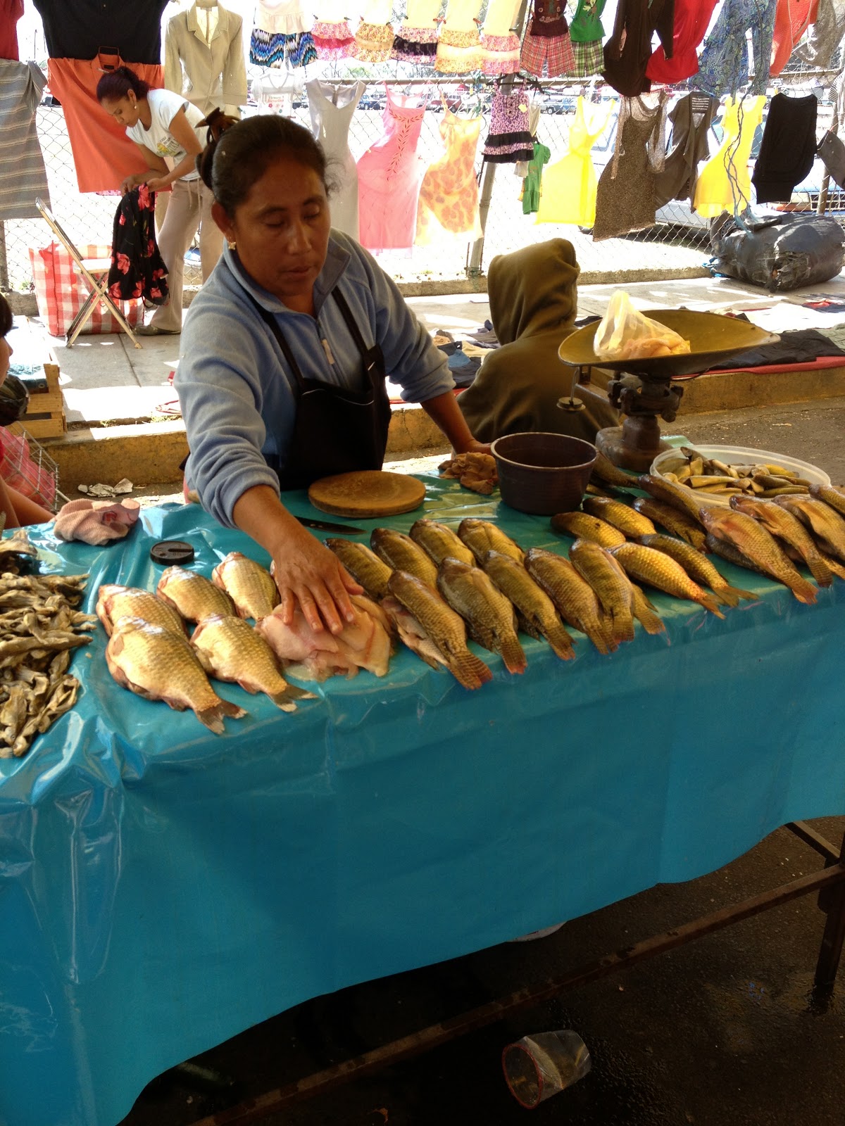 Bienvenida a México: Dia 49 - Mercado de Morelia