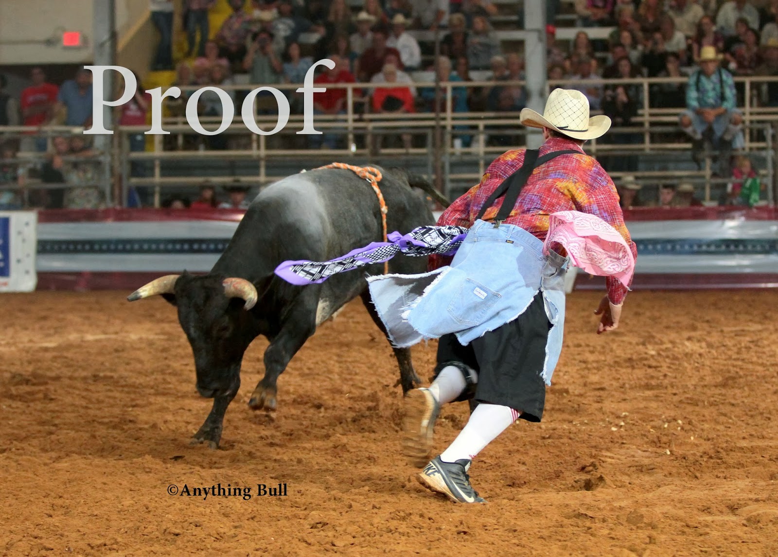 Anything Bull or Rusty: Chuck Swisher-2nd steer Friday night