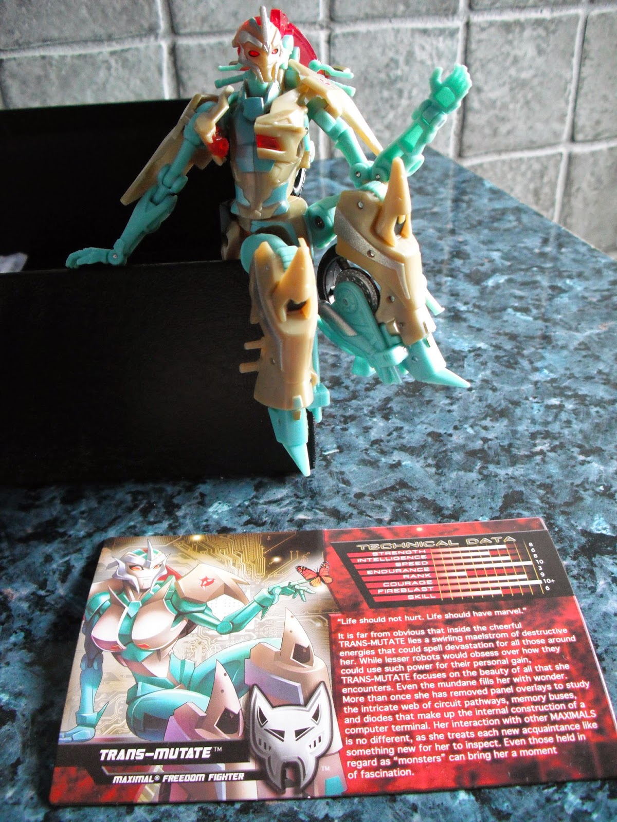 The HEXdidn't... TransFormers Collection Blog: TransFormers Collectors ...