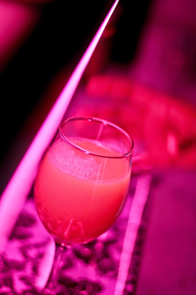 PURO Mobile Bar: PURO INTRO