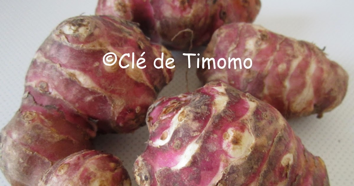 Clé de Timomo: 菊芋/エルサレム・アーティチョーク/トピナンブール