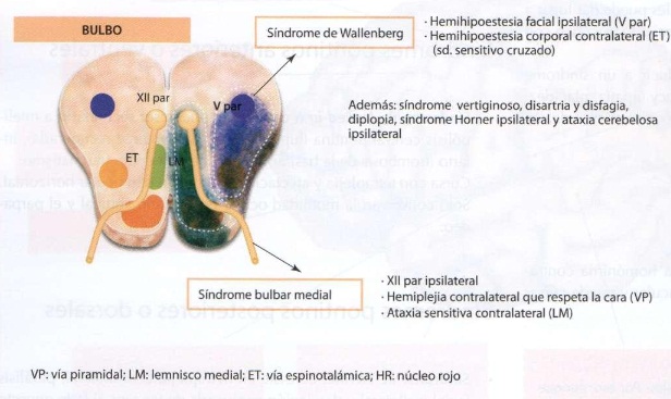 RESPUESTAS DESGLOSES: NEUROLOGIA, P204 MIR 2002-2003