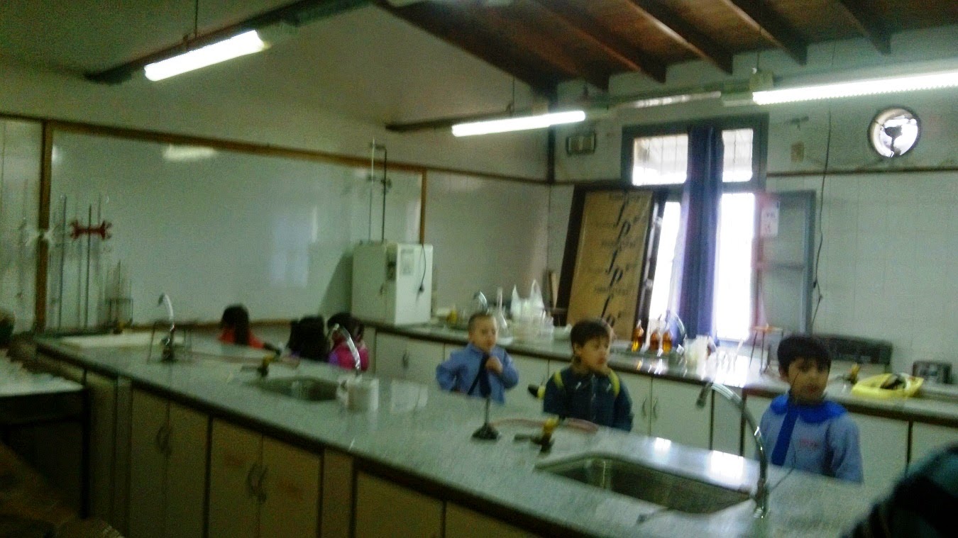 EXPRESIÓN EDUCATIVA: ALUMNOS DE JARDÍN VISITAN EL LABORATORIO DE UNA ...