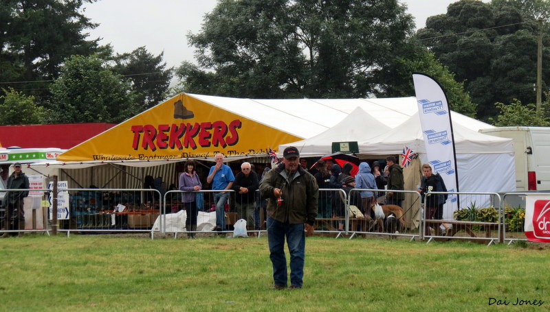 daijones flies: Bala, North Wales Game Fair.