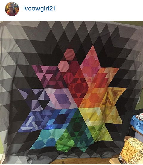 Jaybird Quilts: Your Photos: Gravity