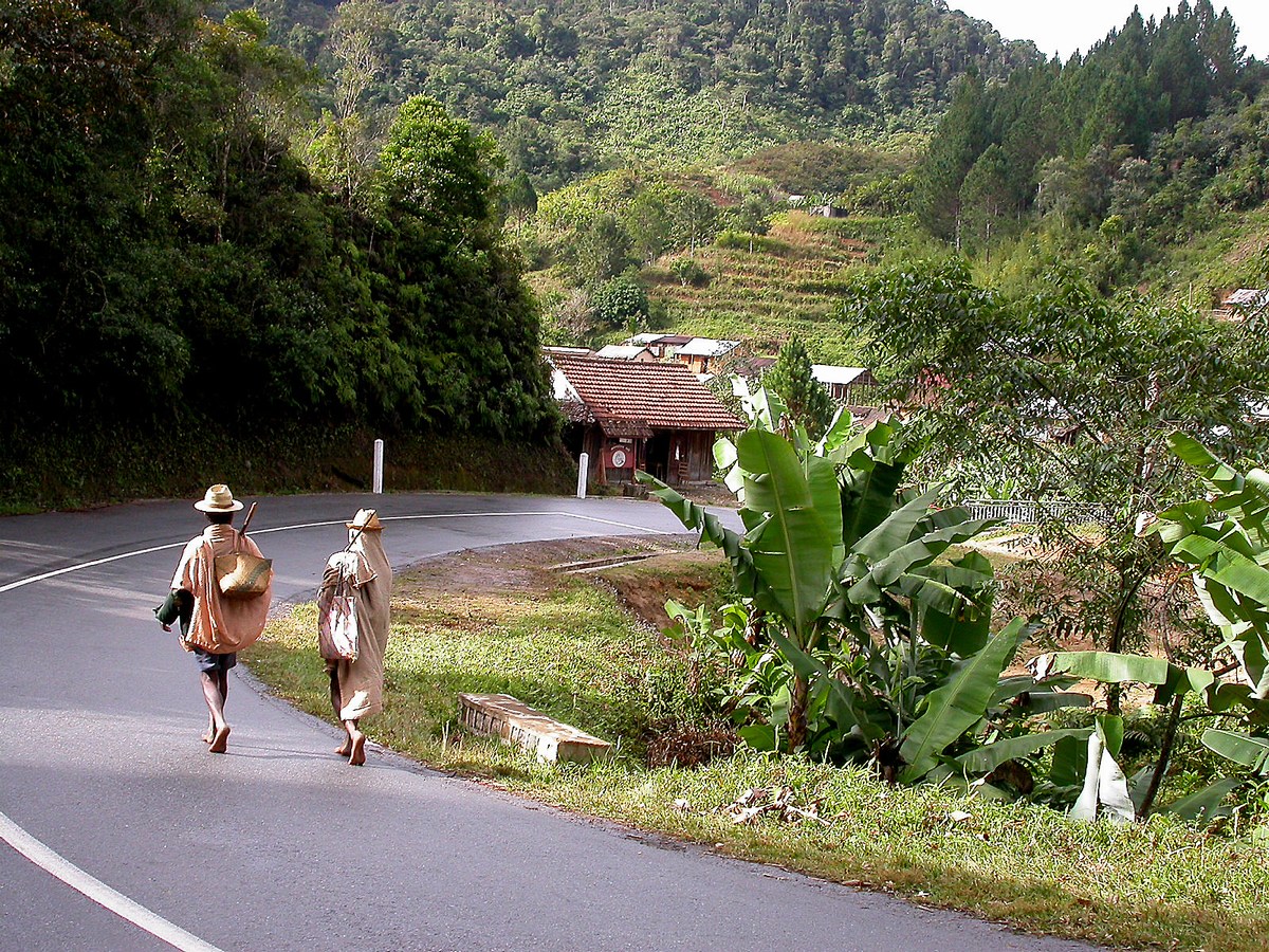 Madagascar - Parc national de Ranomafana - Les routes de tous les voyages