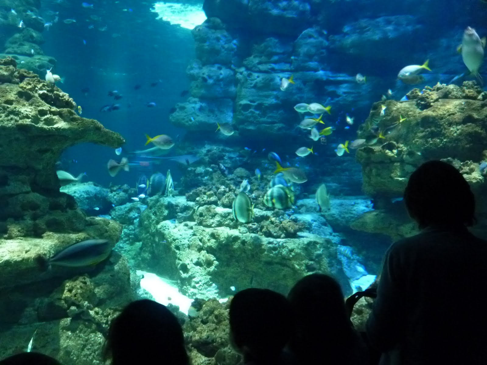 Aquarium De Paris