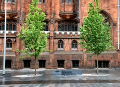 Paul Danson Imagineering: Landscaping decisions...