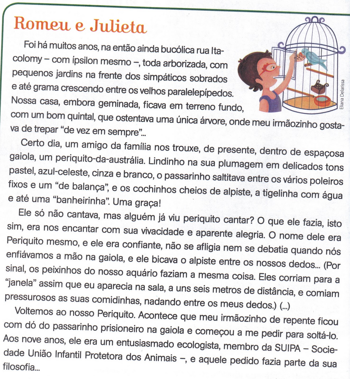 Entre o Passado e o Futuro: Crônica