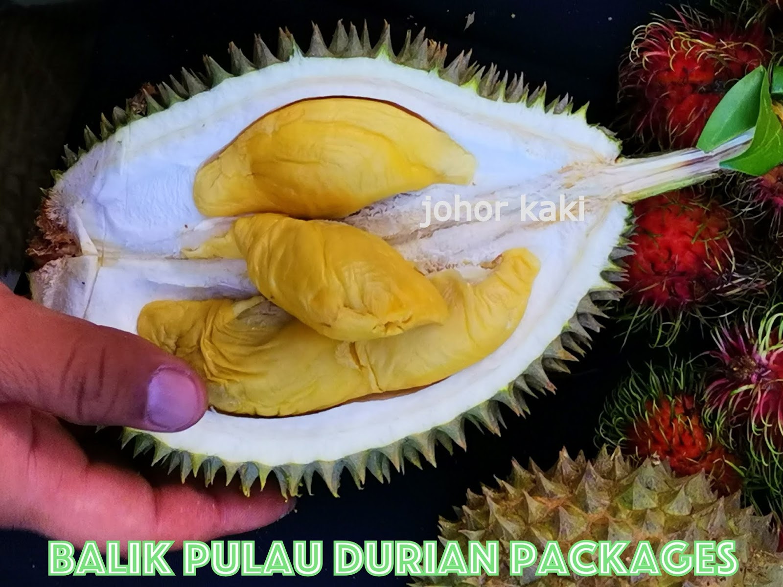 Tourism Malaysia Penang Balik Pulau Durian Packages 6 May - 6 August ...
