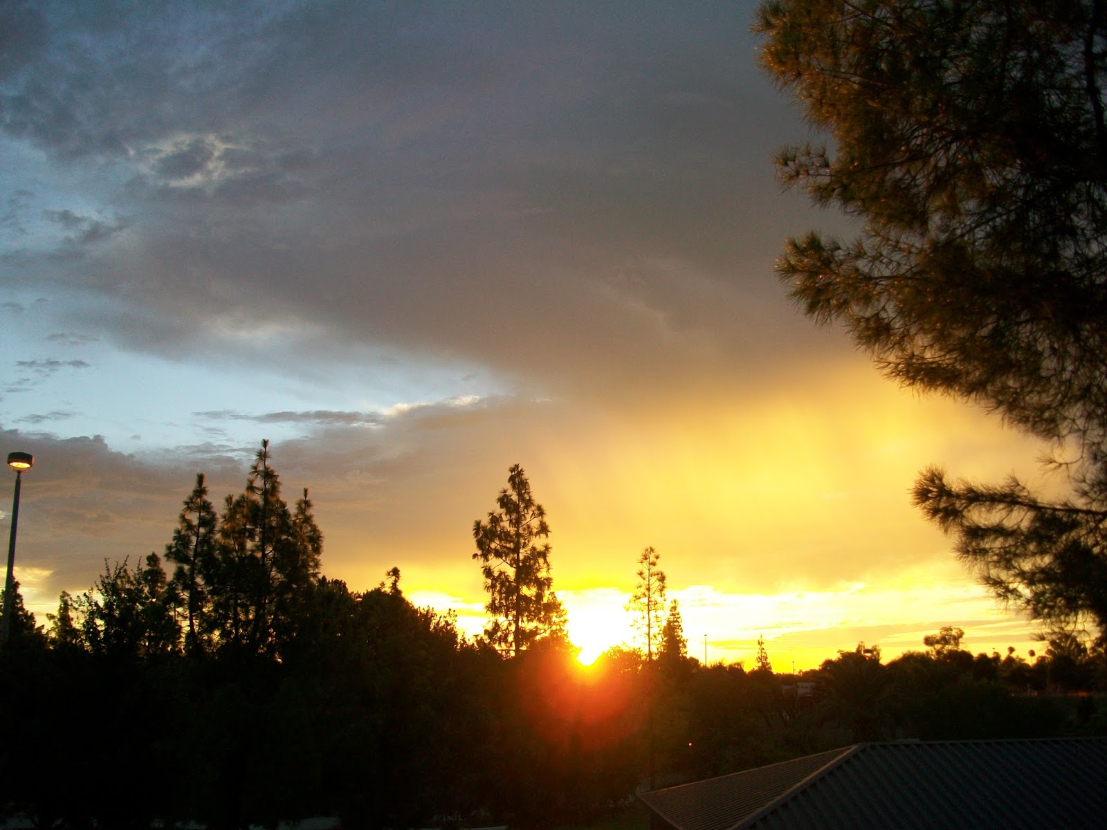 Week Two Discipleship | The Project: Me by Judy