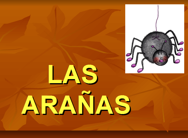 Pequeños monstruitos: DIAPOSITIVAS SOBRE LAS ARAÑAS