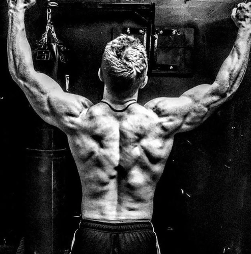 Beefcakes of Wrestling: Muscle Monday : Shane Mercer