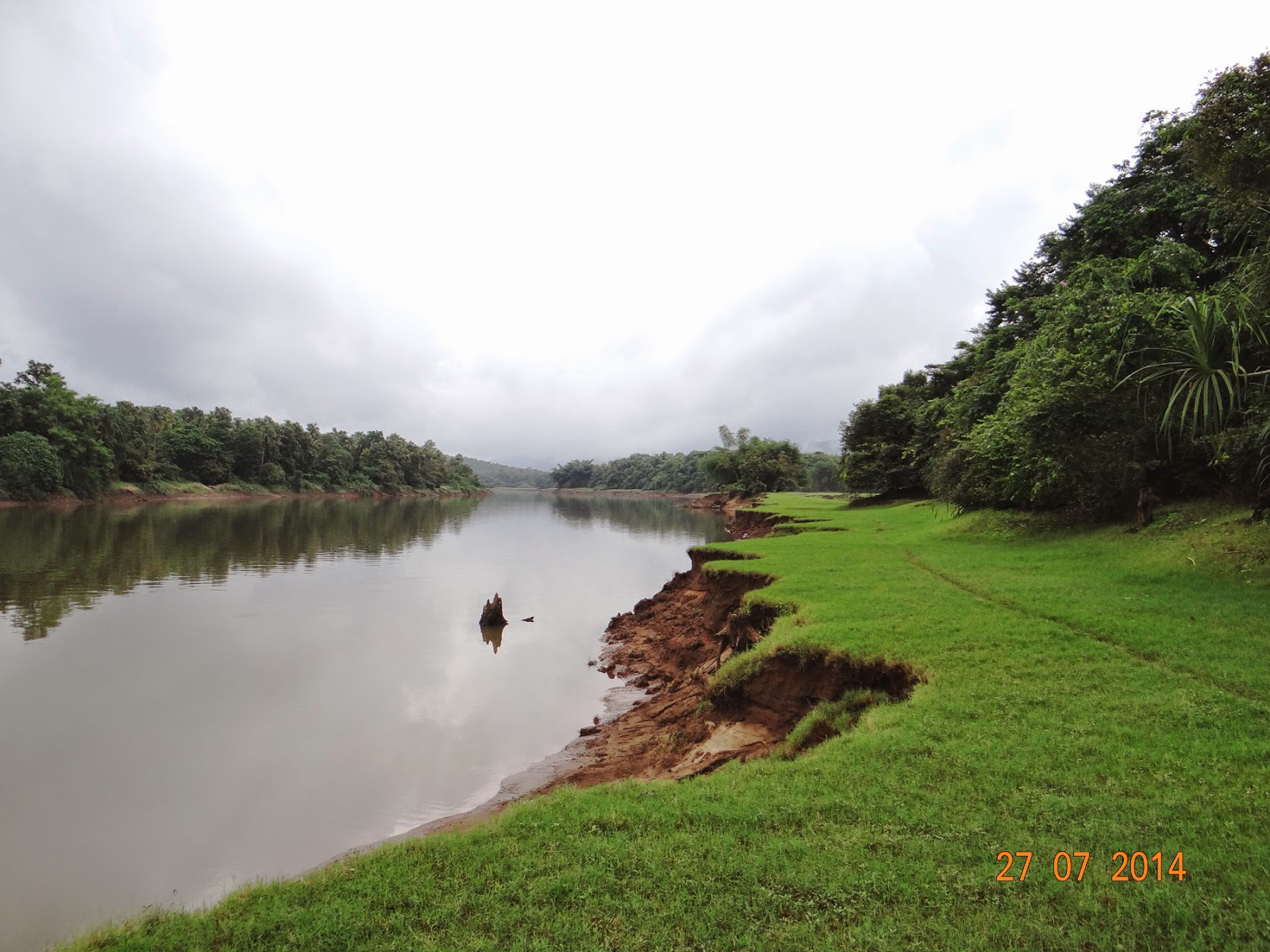 lens of mind: Thattekkadu: Periyar Baisin : Monsoon walk:
