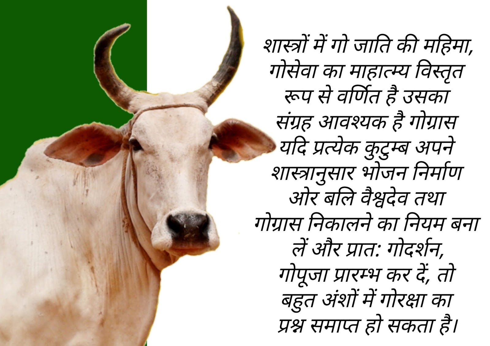 गौमाता ही भारत माँ की पहचान है: गौ स्लोगन (गौ माता स्टेटस)