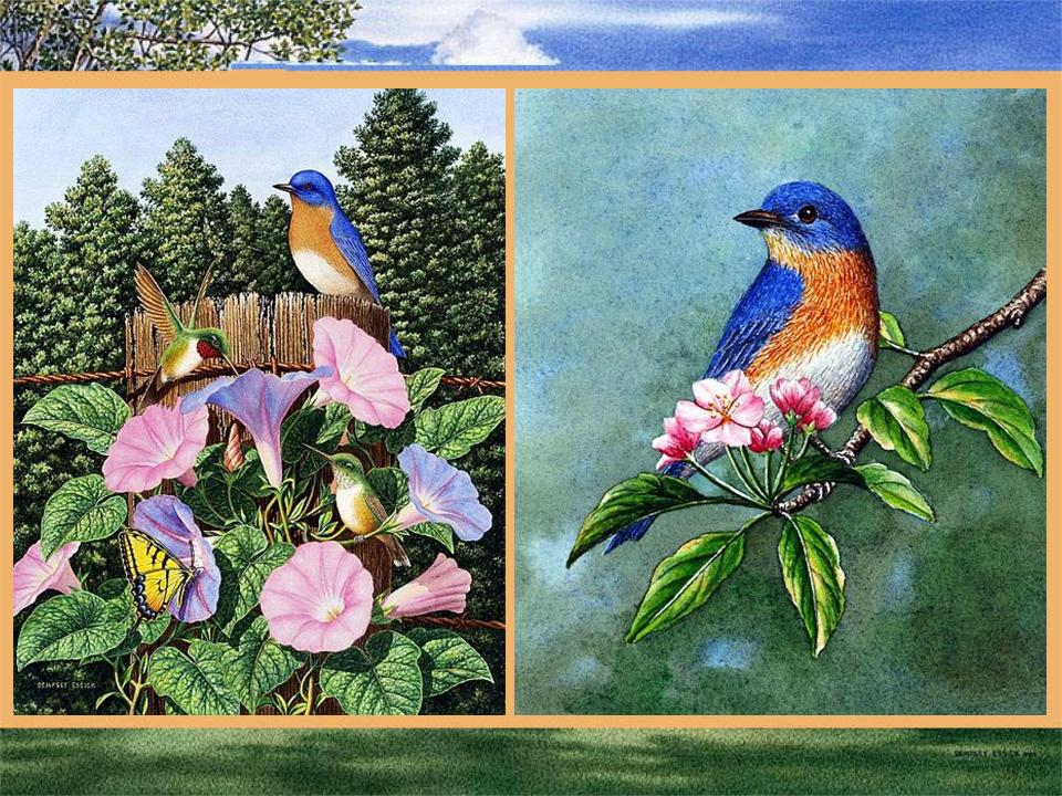 Soloillustratori: Dempsey Essick