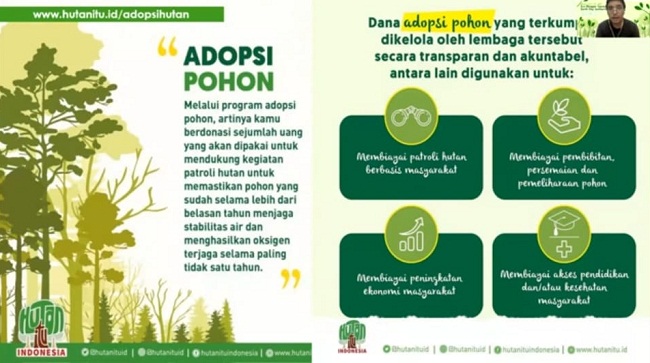 Nurul Mutiara R A: Happy Earth Day : Ketika Menjaga Hutan sama ...