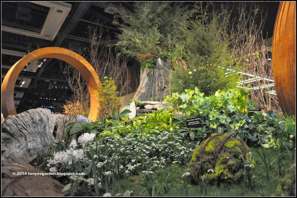 MySecretGarden: Nature's Studio at the NWFGS-2014