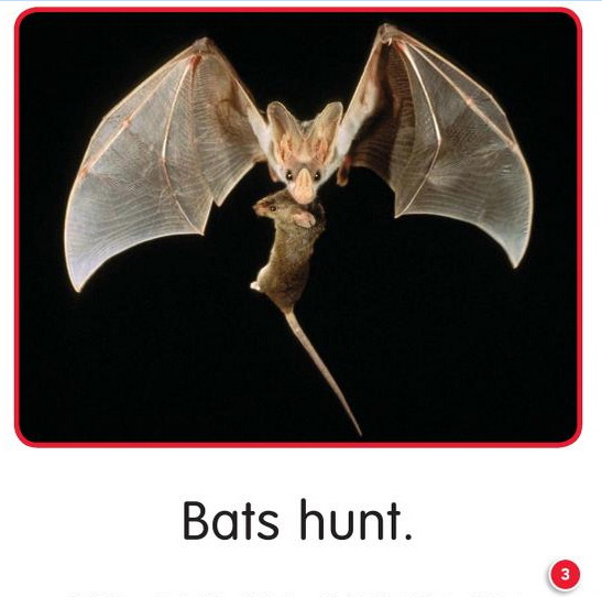 Best Paid & Free Emergent Readers for Kindergarten