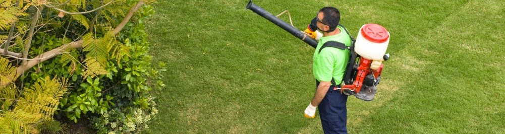 Bug and Termite Control: Biological Pests Control and How It Can Be the ...