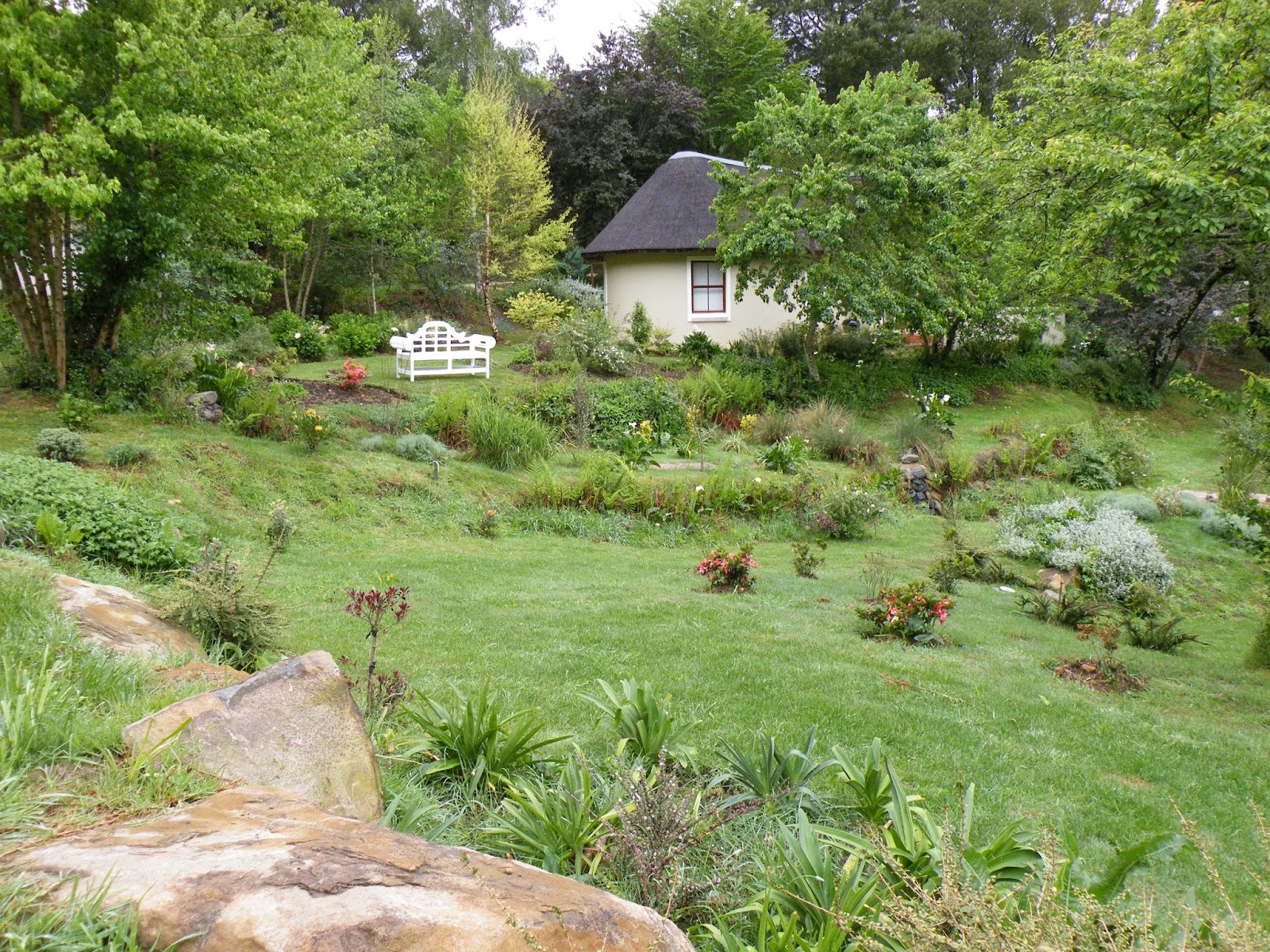 Go with Henry: A Taste of rural Eastern Cape