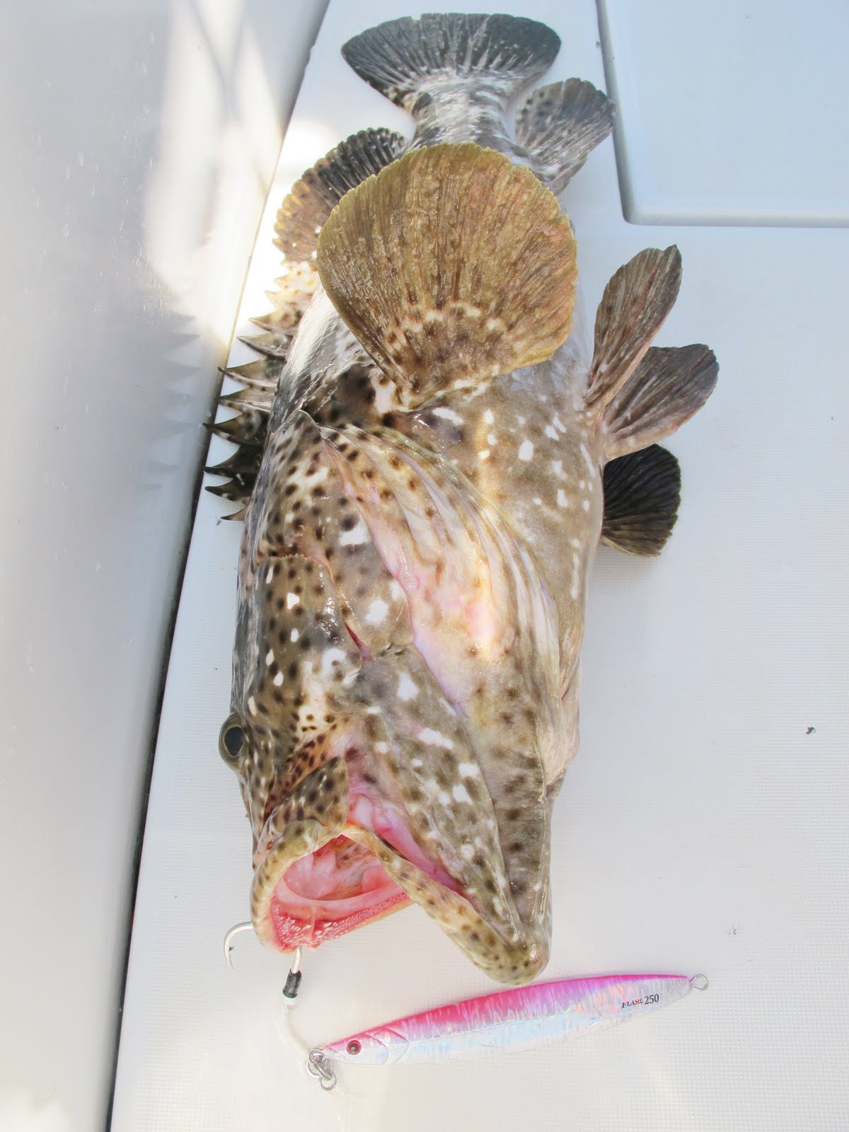 Tackle Source: WHEN THE GOING GETS TOUGH Part 2