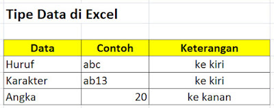 Jenis-jenis Tipe Data dalam Excel | Belajar Excel Sampai Ahli