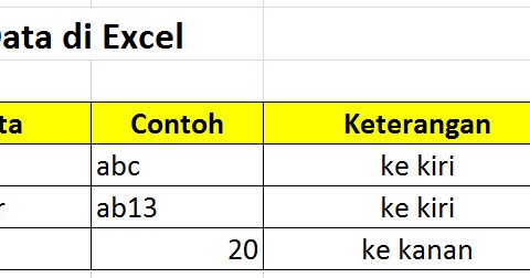 Jenis-jenis Tipe Data dalam Excel | Belajar Excel Sampai Ahli