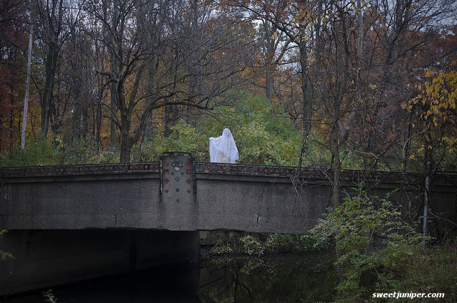 An Old-Fashioned Ghost | sweet juniper!