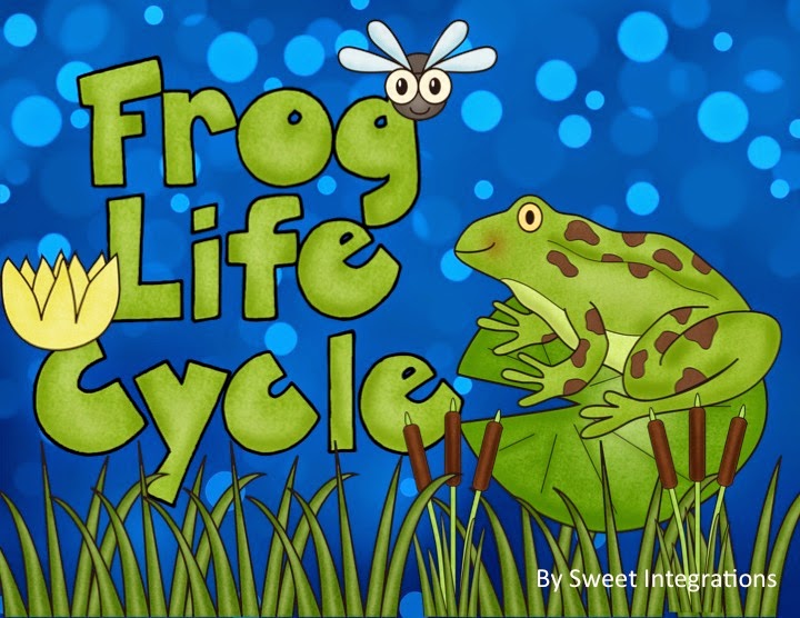 Thematic Thursday - Frogs and Toads | Sweet Integrations