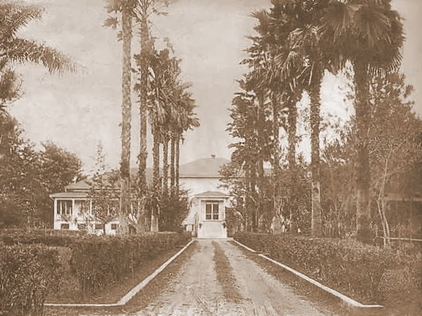 CAMINO REAL. CRONICAS DE LA HISTORIA DE HONDURAS: LA VACCARO BROS