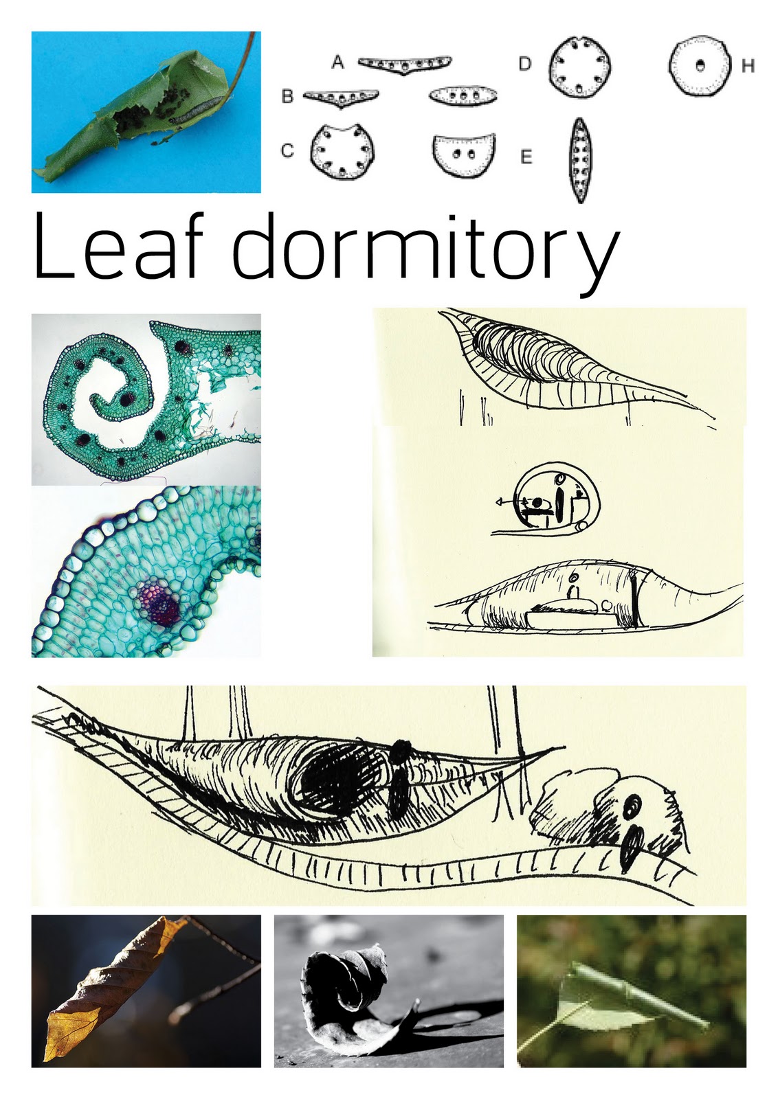 biomimicry KTH: 2011 - KTH Biomimicry Course