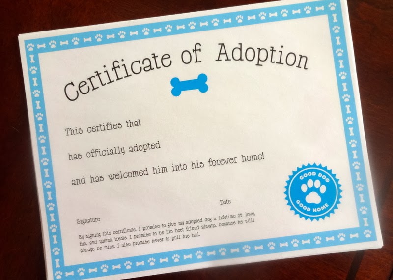 Mom's Tot School: PAW Patrol / Puppy Party!