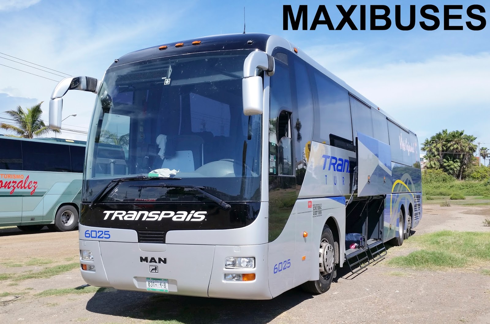 MAXIBUSES: TRANSPAÍS TURISMO (TURISMO)