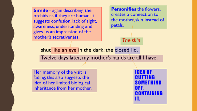 Ms Bellamy's English Class blog: Nat 5: Jackie Kay revision- 'Divorce ...