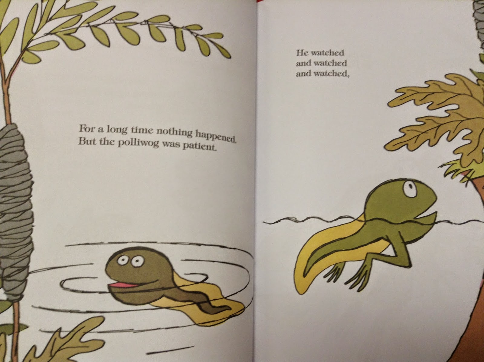 Grasty's 2nd Grade Goodies: The Caterpillar and the Polliwog