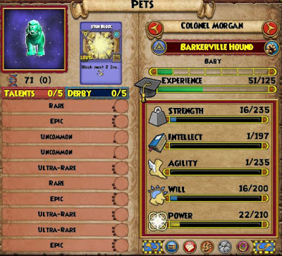 Stars of the Spiral: UPDATED! Wizard101 Great Detective Bundle