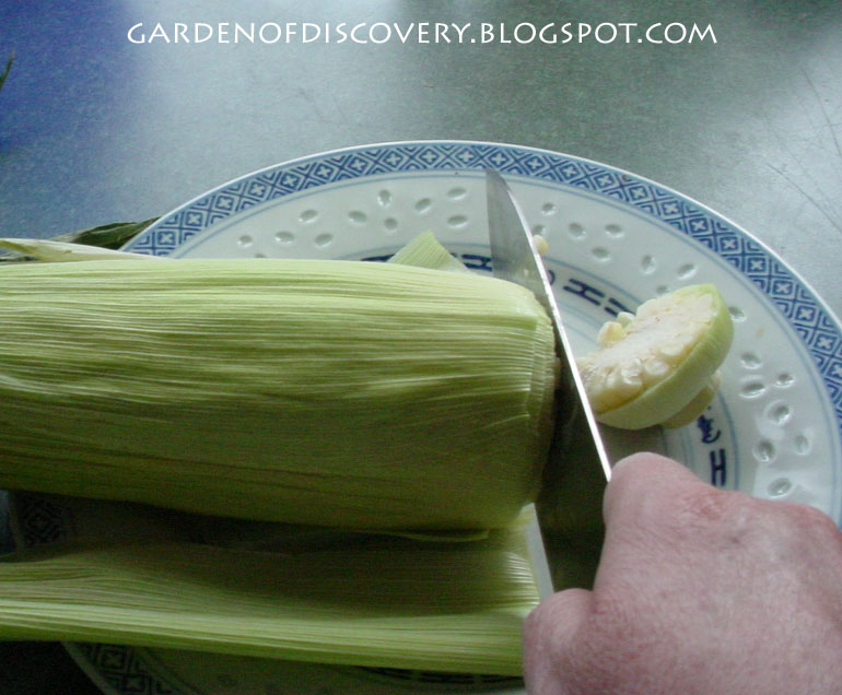 Garden of Discovery: Corn Shucking Magic...Really it is!