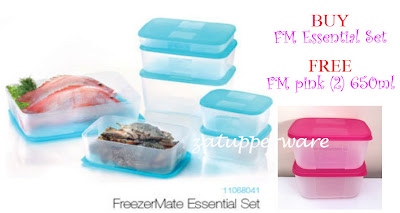 Za Tupperware Malaysia : Promotion FreezerMate Essential Set