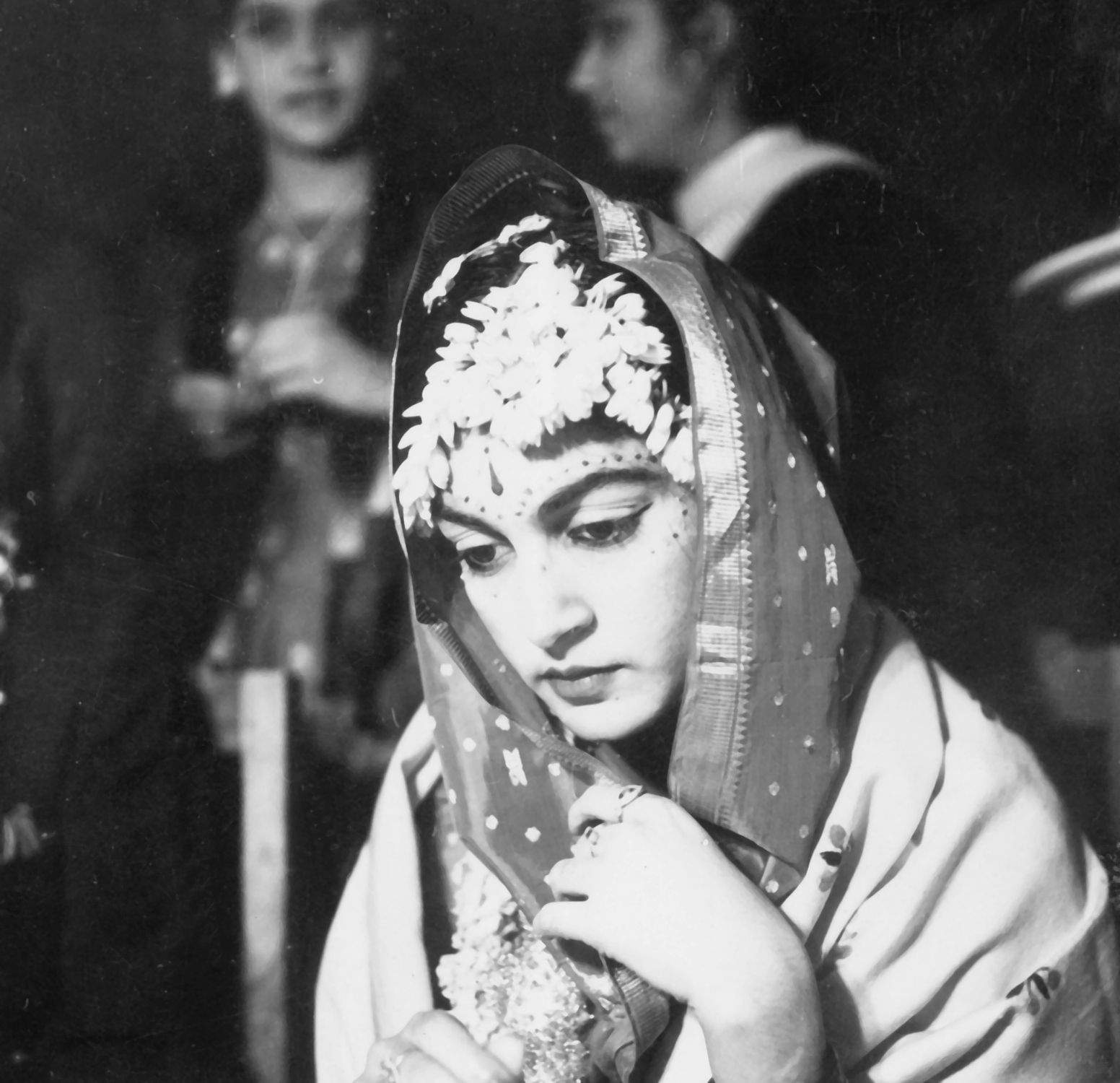 A Delhi Gardener's Blog