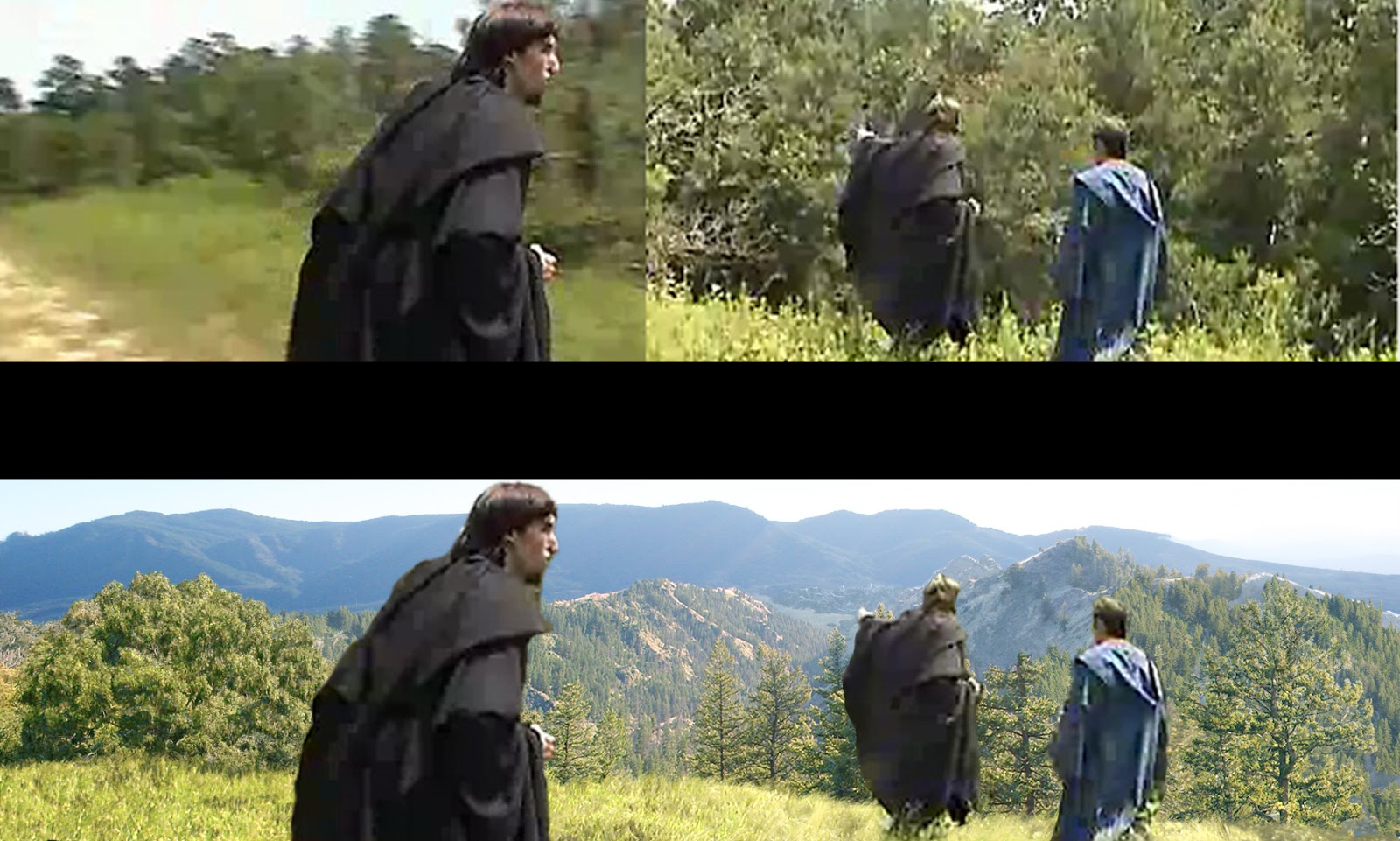 The Art of Terry Hamel