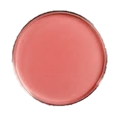 Blog del Laboratorio clinico : Agar Sal y Manitol