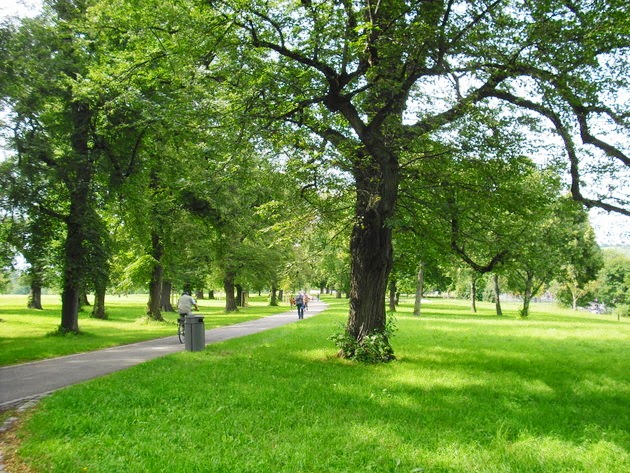 Wege in der Region Stuttgart: Zwischen Rosensteinpark und Wilhelma