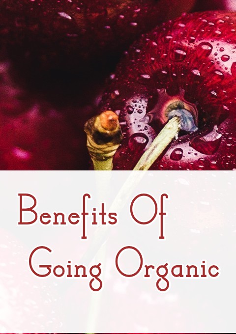 Benefits Of Going Organic