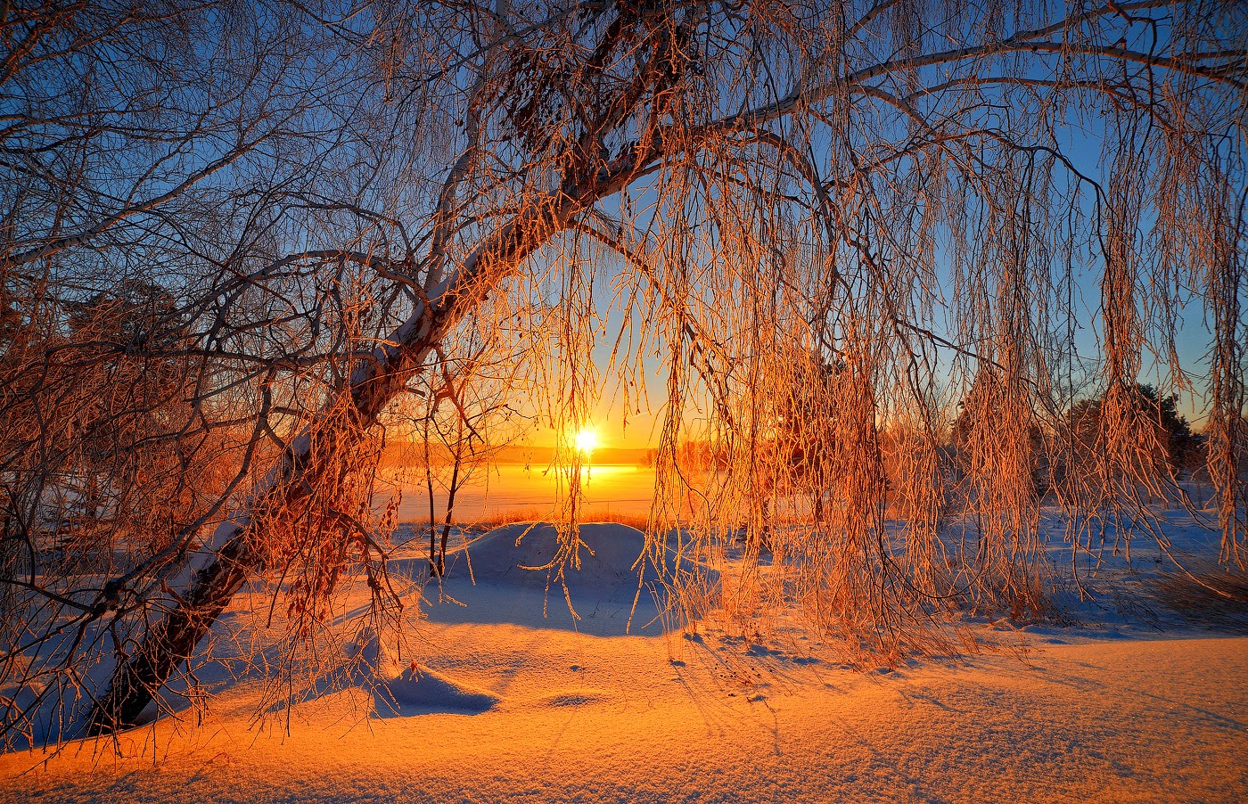 Rasarit de Soare iarna ~ Peisaje de Iarna