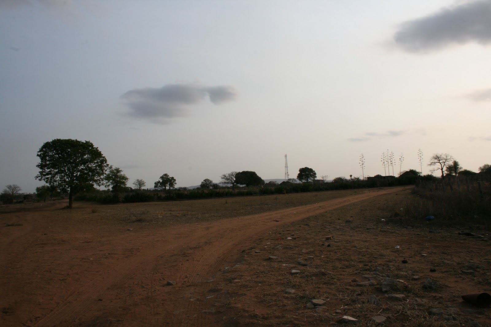 The Kingdom of Swaziland: Progress