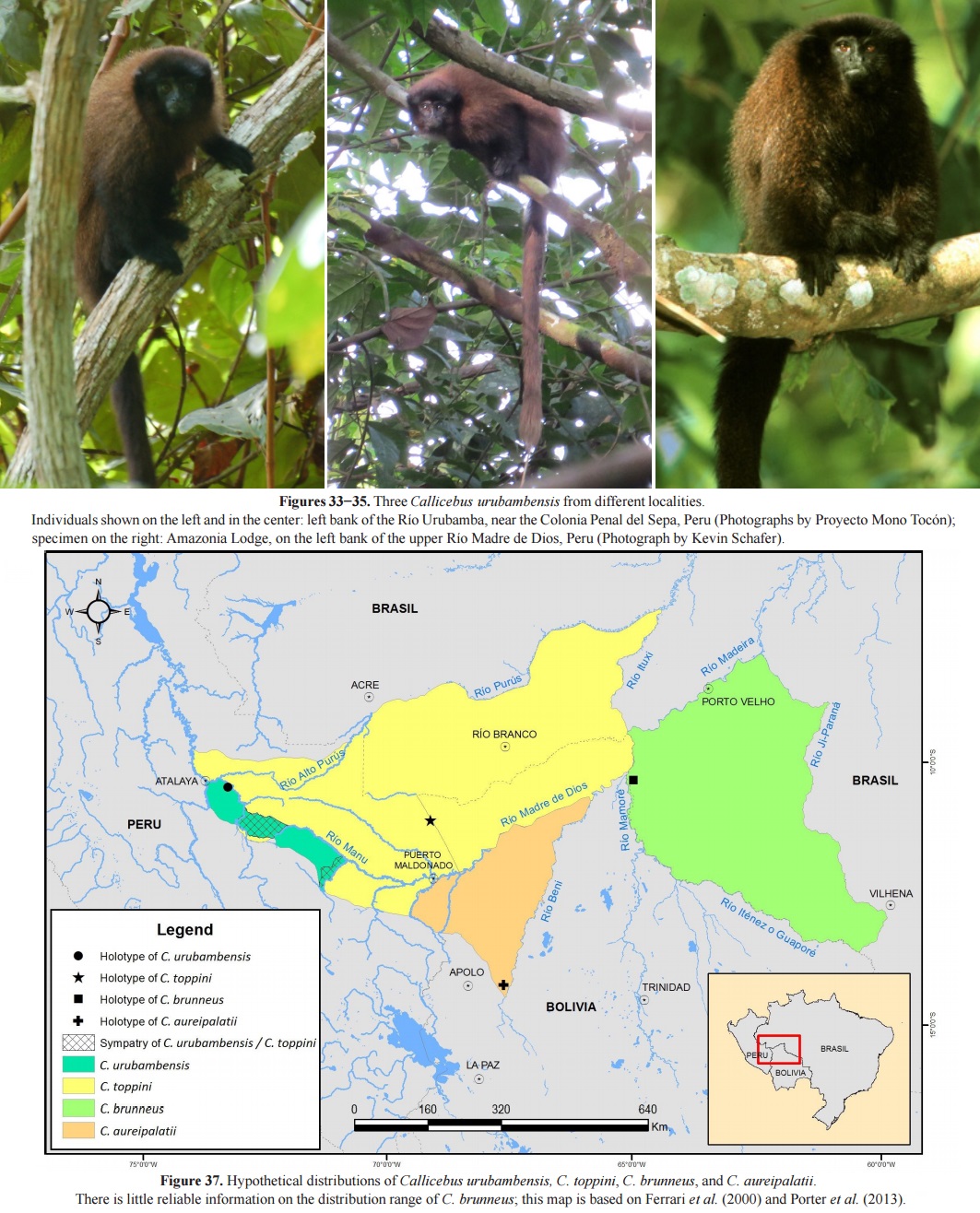 Species New to Science: [Mammalogy • 2015] The Distribution and ...